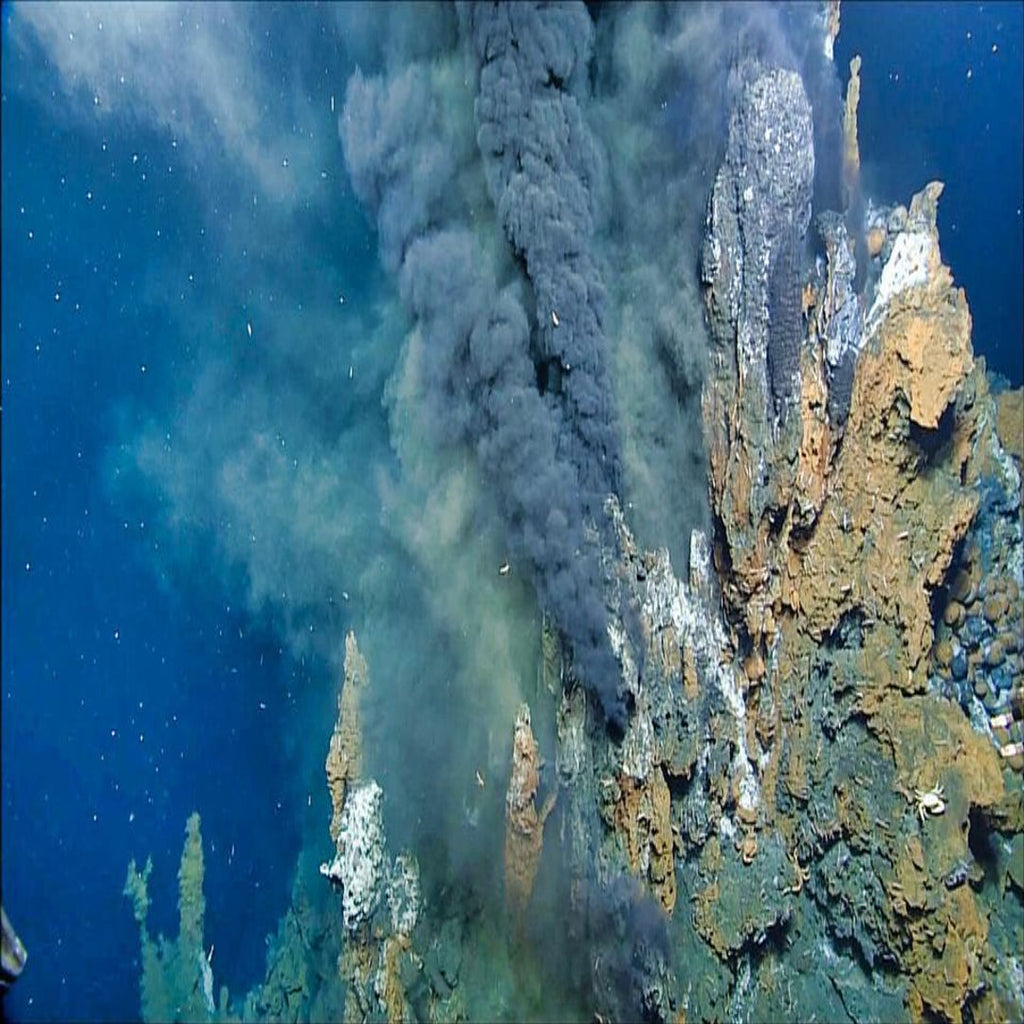 Ocean Vents – Quality Science Labs